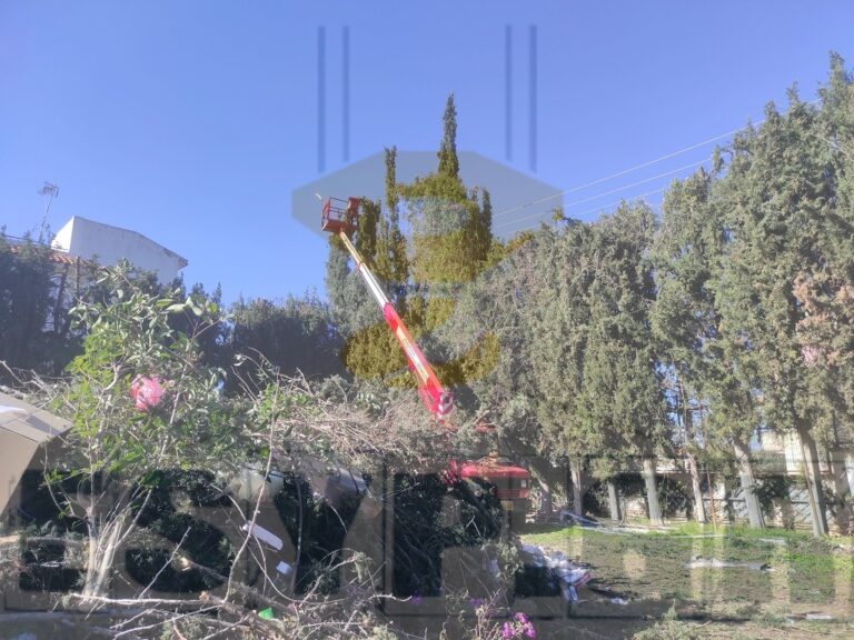 Ποσο κοστιζει η κοπη δεντρων ? Κλάδεμα δέντρων με γερανό - esyp.gr