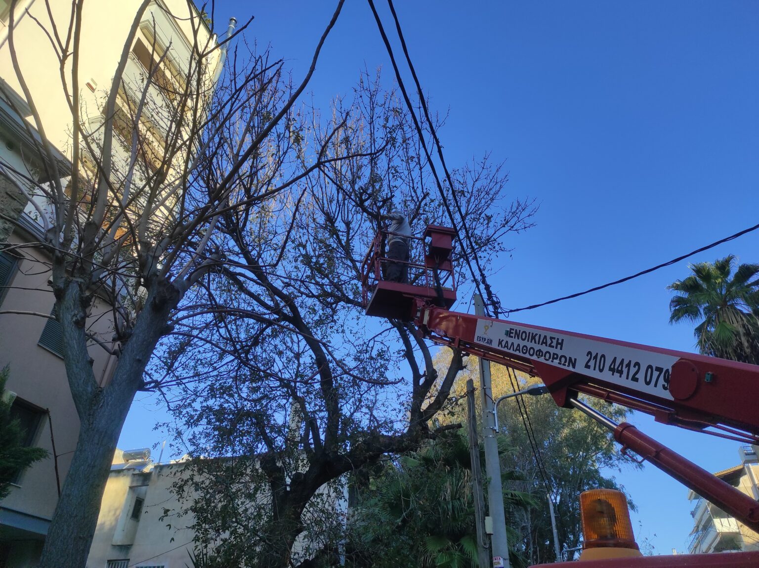 Κοπη Κλαδεμα Υψηλων Επικινδυνων Δεντρων - esyp.gr